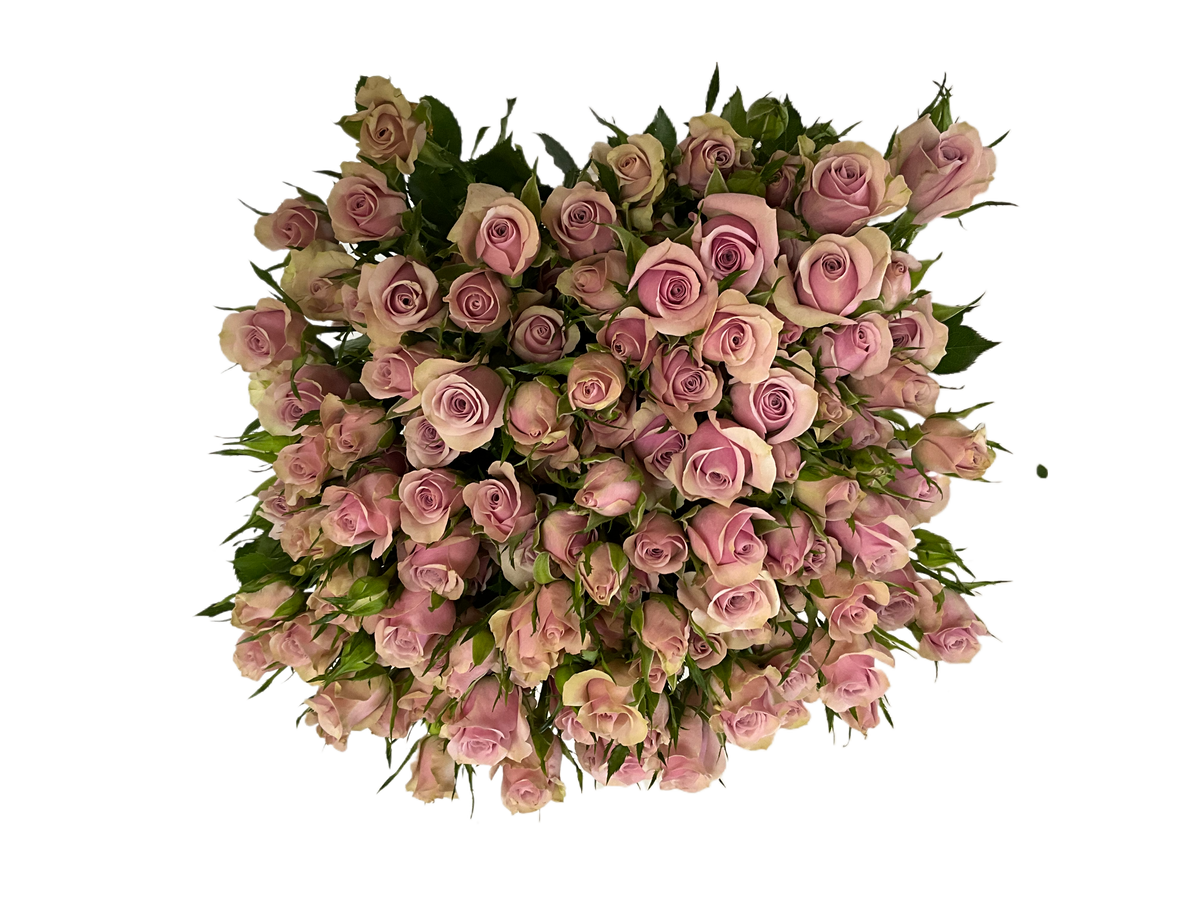 MzurrieFlowers